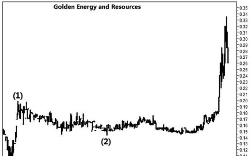 金光能源与资源 Golden Energy & Resources | 联合早报
